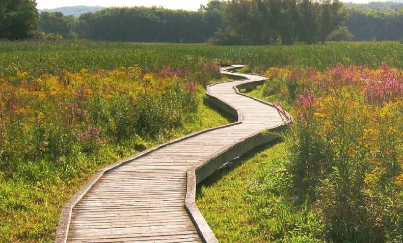 Vernon Township Sustainable Economic Development Plan J Caldwell